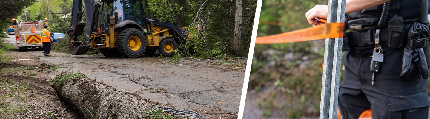 When law enforcement needs help—elevating extended primary users on ...